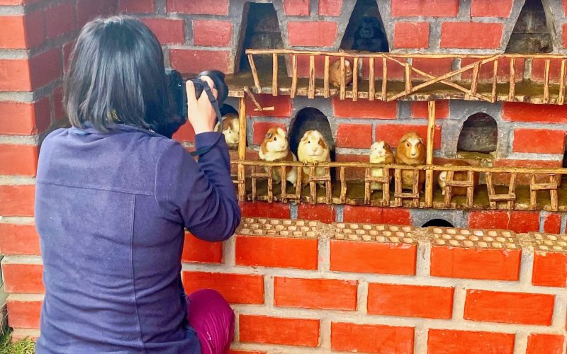 Cusco en Junio - AB Expeditions