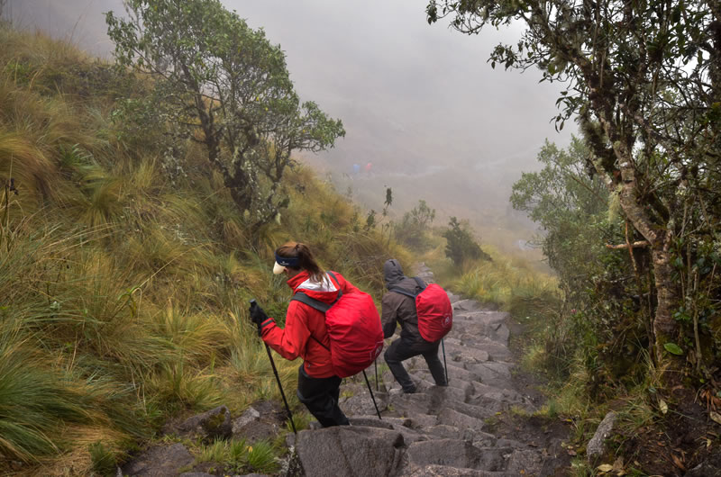 The Ultimate Inca Trail Guide 2025 - AB Expeditions