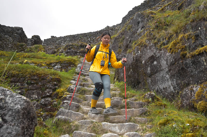 Inca Trail Monkey Steps at Juanita Curtis blog